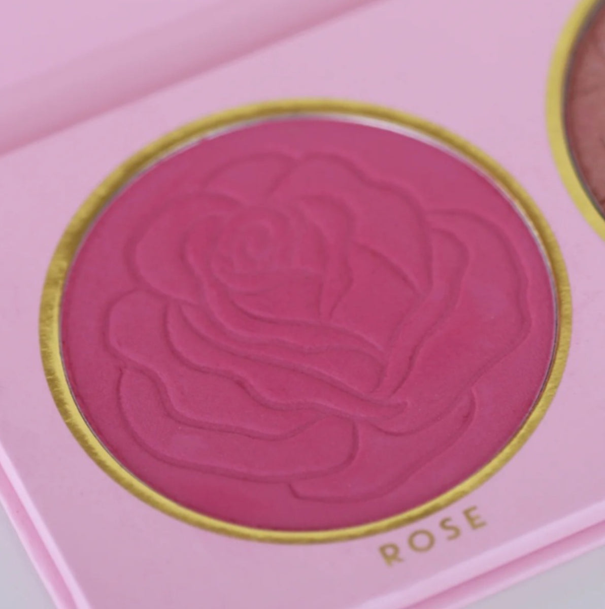 Dafna Beauty Rose Glow Palette – The Flossie & Prudence Show